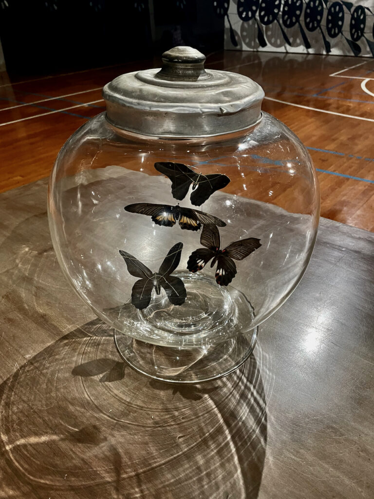 Yasuda Yoh | Fukuoka Asian Art Museum